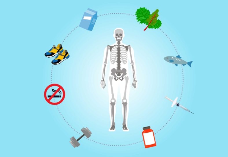 The role of Osteoporosis - Bone Density Solution in bone health ...